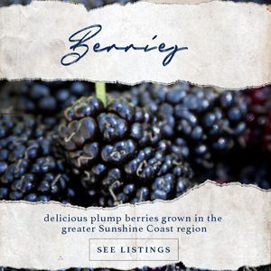 berries - Sunshine Coast Regional Food