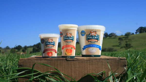 Maleny Dairies - Sunshine Coast Regional Food